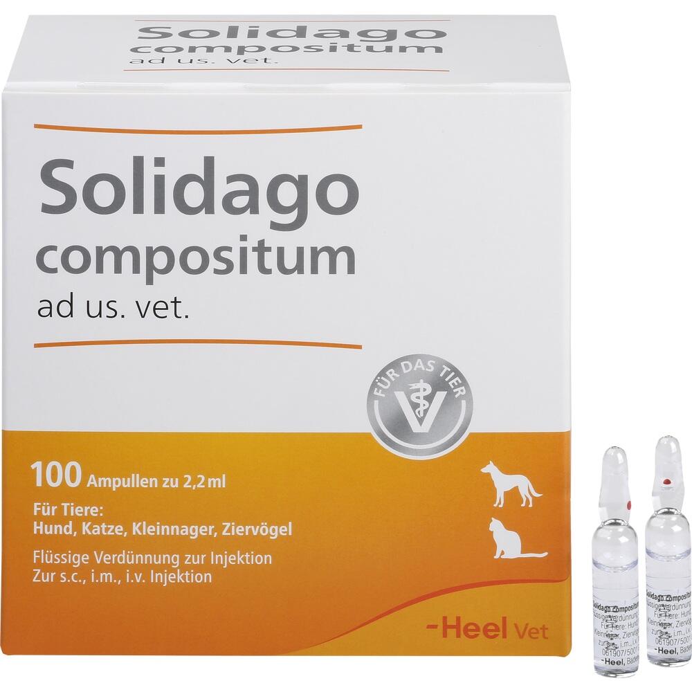 SOLIDAGO COMPOSITUM ad us.vet.Ampullen 100 Stück | Sanicare | 01224090