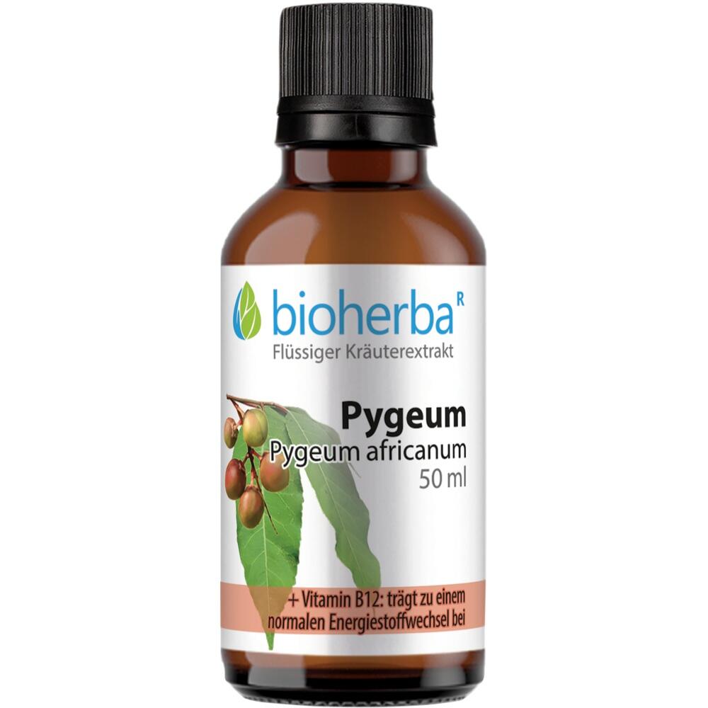 PYGEUM Tinktur 50 ml | online kaufen